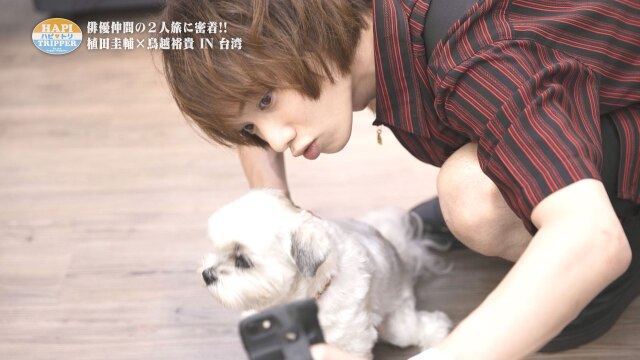 HAPI TRIPPER(ハピトリ)＜未公開ロングver＞ EP7 「どうなる最終日」＜未公開ロングver＞ フル動画 |【無料体験】動画配信サービスのビデオマーケット