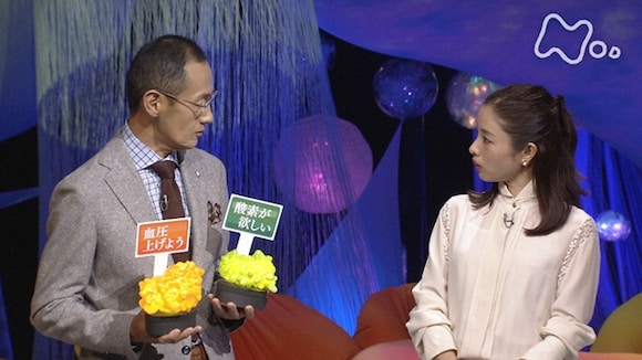 NHKスペシャル シリーズ 人体 神秘の巨大ネットワーク 人体III 第3集 命のつながり 細胞40億年の旅 フル動画 |【無料体験】動画配信サービスのビデオマーケット