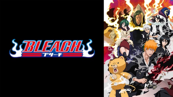 BLEACH 護廷十三隊侵軍篇 第331話 戦うために！目覚めよ望実！ フル動画 |【無料体験】動画配信サービスのビデオマーケット