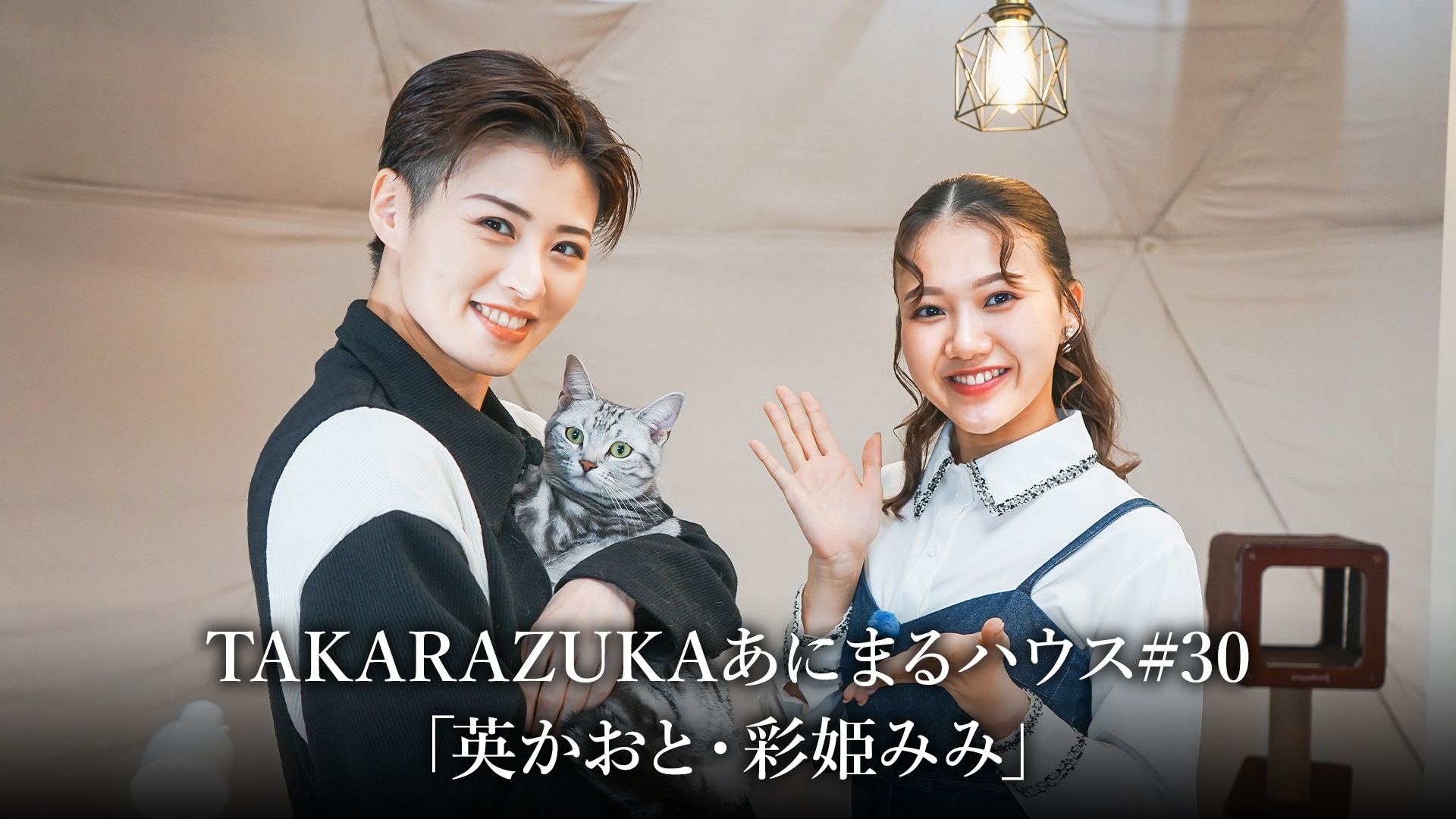「TAKARAZUKAあにまるハウス#30「英かおと・彩姫みみ」」エンタメ |【無料体験】動画配信サービスのビデオマーケット